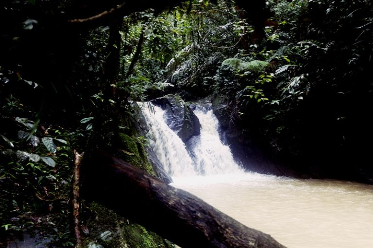 Into Long Pasia, Sabah | BORNEONEWS.NET