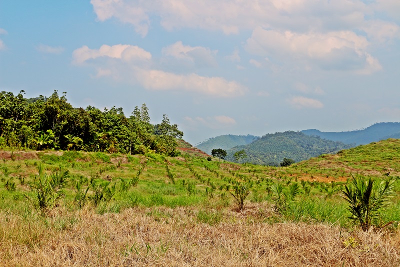 Kg Baba, a village in need | BORNEONEWS.NET