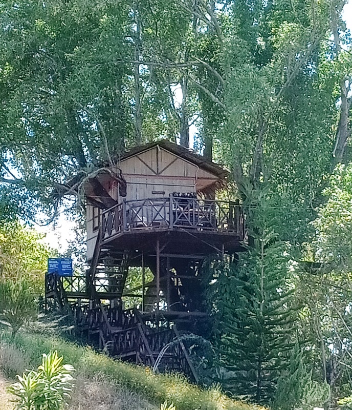 A Lotud and tree house in Tuaran | BORNEONEWS.NET