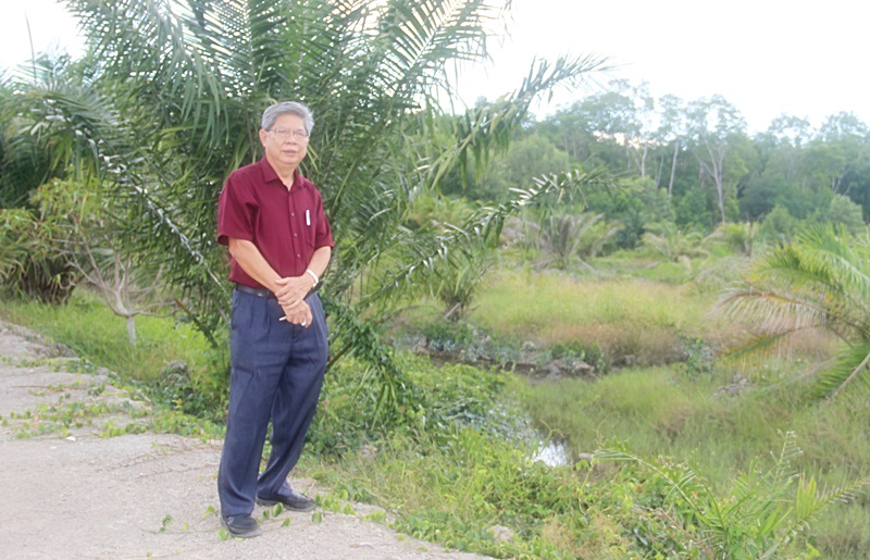 Labuk, Sanctuary for Proboscis Monkey | BORNEONEWS.NET